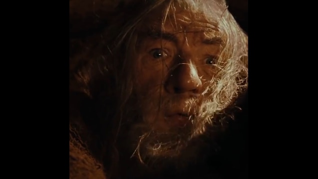 “We Must Do Without Hope”. The Company Go On After The Fall of Gandalf ...