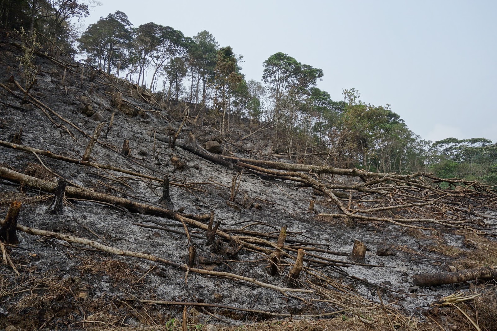 “I Am Not Altogether on Anyone’s Side, Because Nobody is Altogether on ...