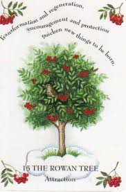 “O Rowan Dead, Upon Your Head Your Hair is Dry and Grey.” Quickbeam the ...